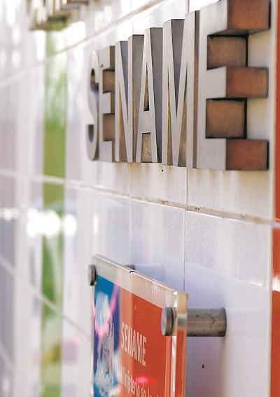 La captura del Sename