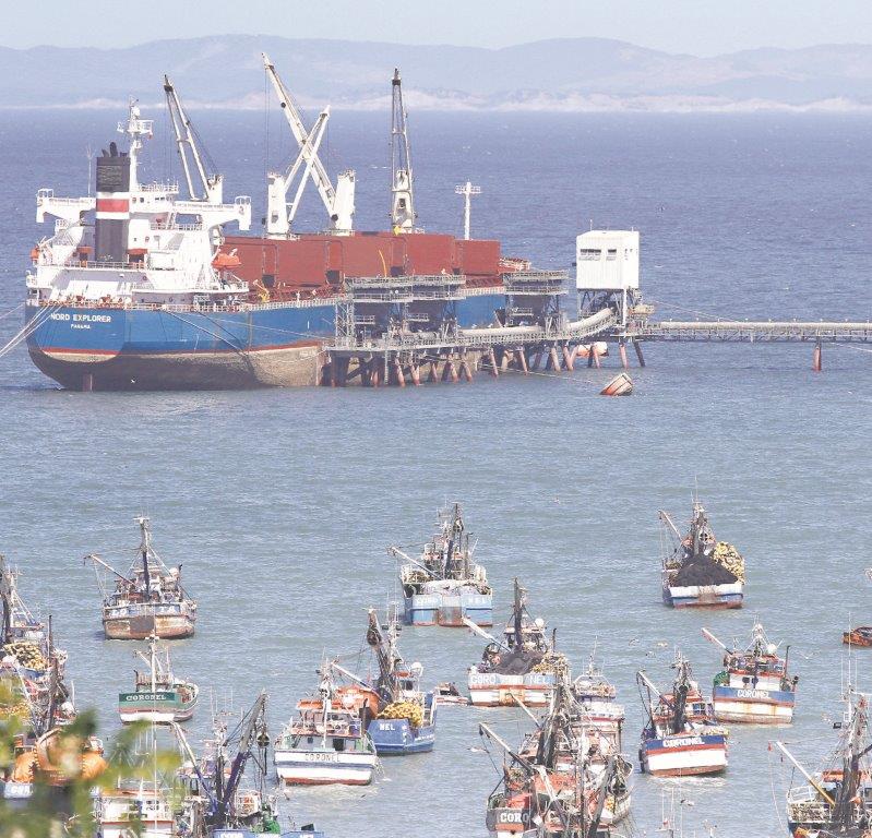 Puerto Coronel consolida compromiso ambiental impuesto por la autoridad