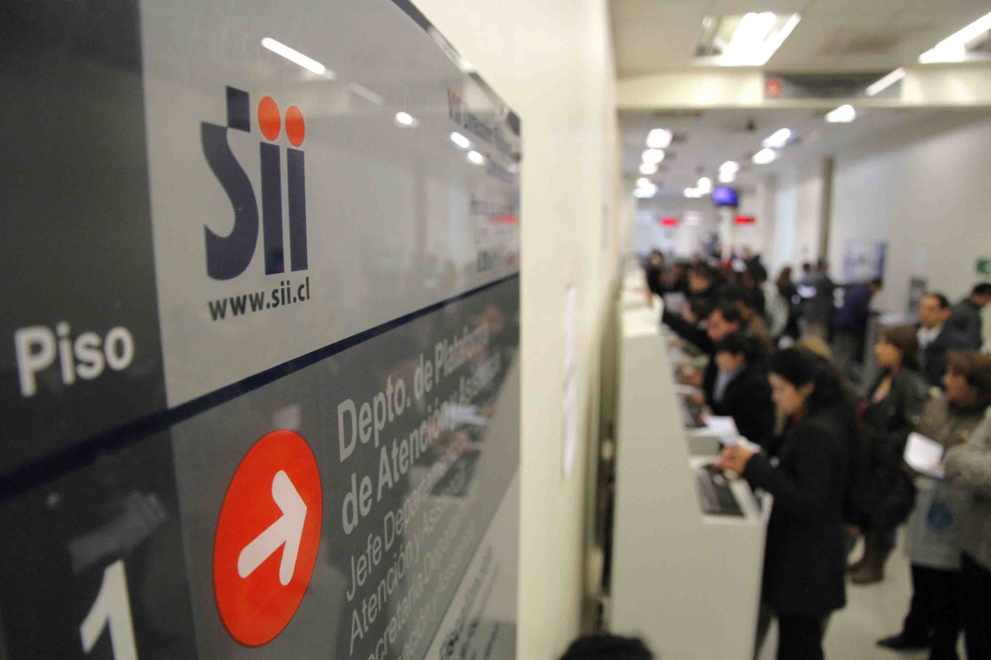 SII presentaría querella contra Masvida antes de fin de mes