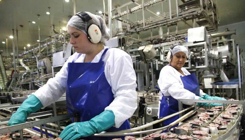 Región del Bío Bío: aumenta el empleo y crece el sector manufacturero