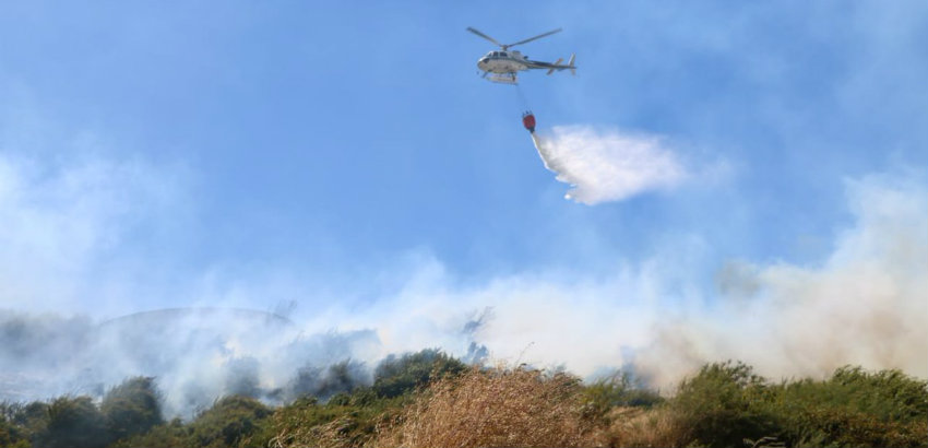 Incendio forestal afecta al sector Cerro Macera en Talcahuano