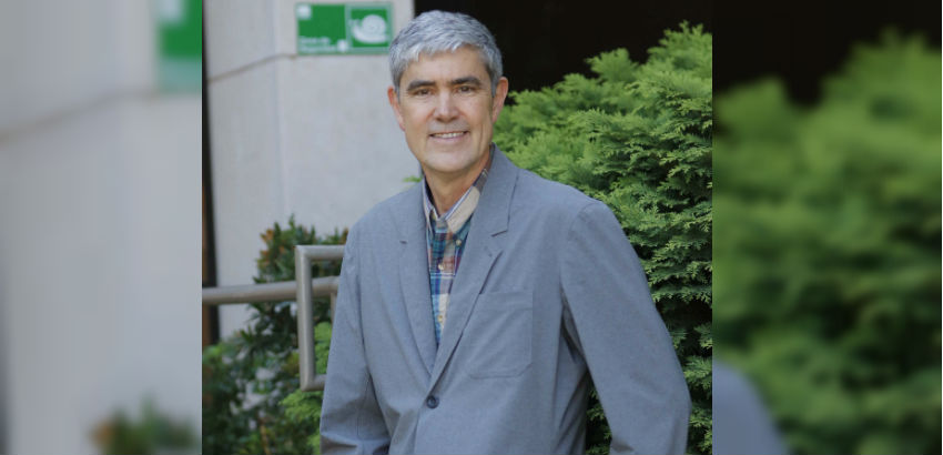 Modelos matemáticos simulan los efectos de los tsunamis