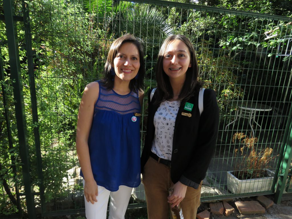 Lanzamiento oficial de fiiS 2019