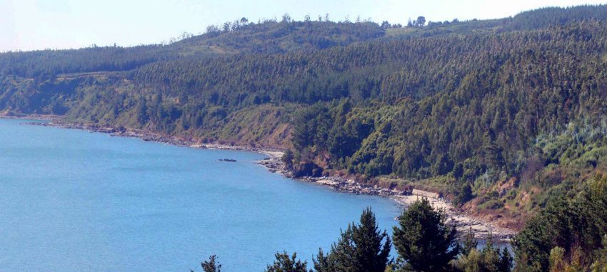 Tomé: San José del Mar busca sumar loteos