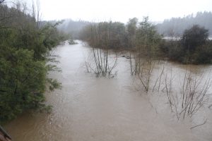 Declaran Alerta Roja comunal para Concepción por desborde de río Andalién