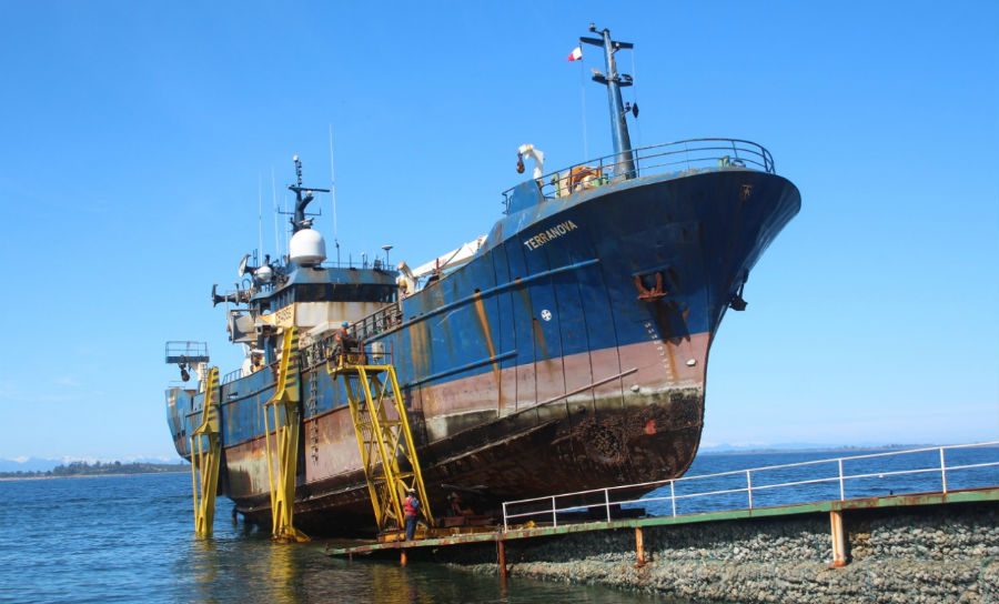 Empresa Alimar desvincula a 400 trabajadores de Coronel y Valparaíso ...