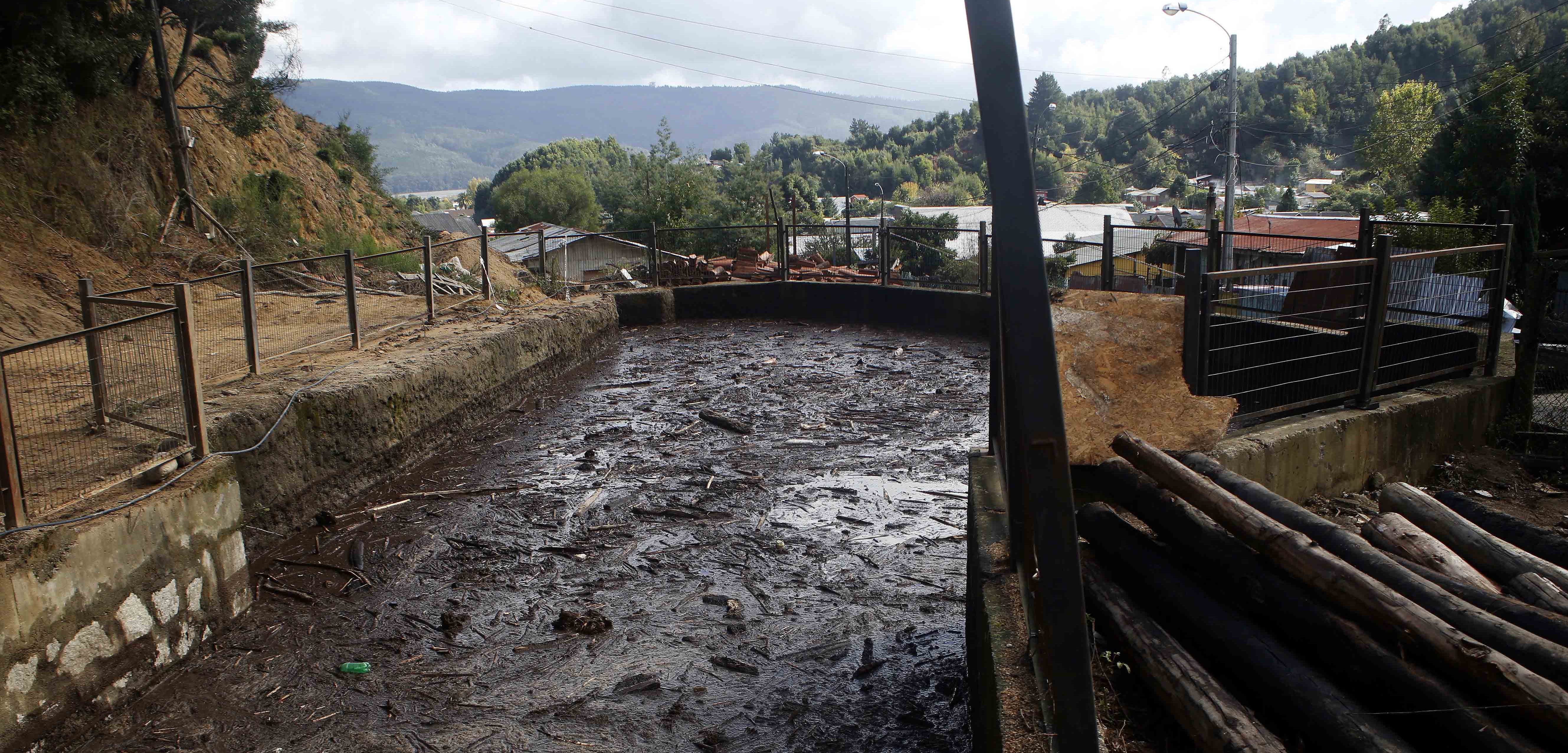 Alcalde de Chiguayante: “Cerro Manquimávida requiere intervención ...