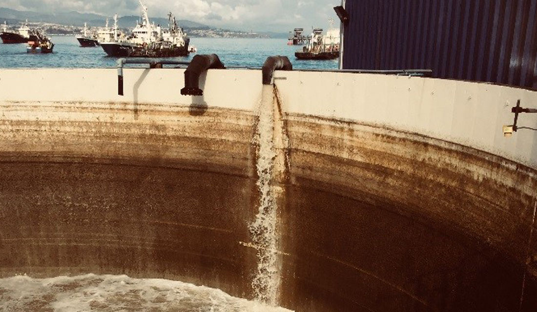 SMA formula cargos contra Pesquera Foodcorp Chile S.A