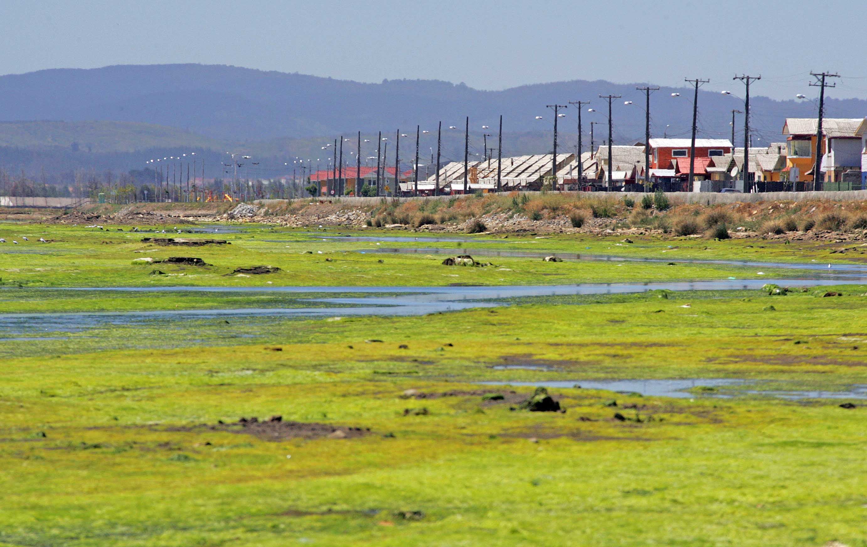Protección a humedales: pasos iniciales para un avance seguro