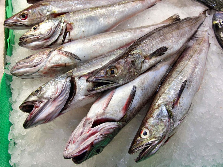 Crece presión para que autoridades fiscalicen la pesca ilegal de merluza