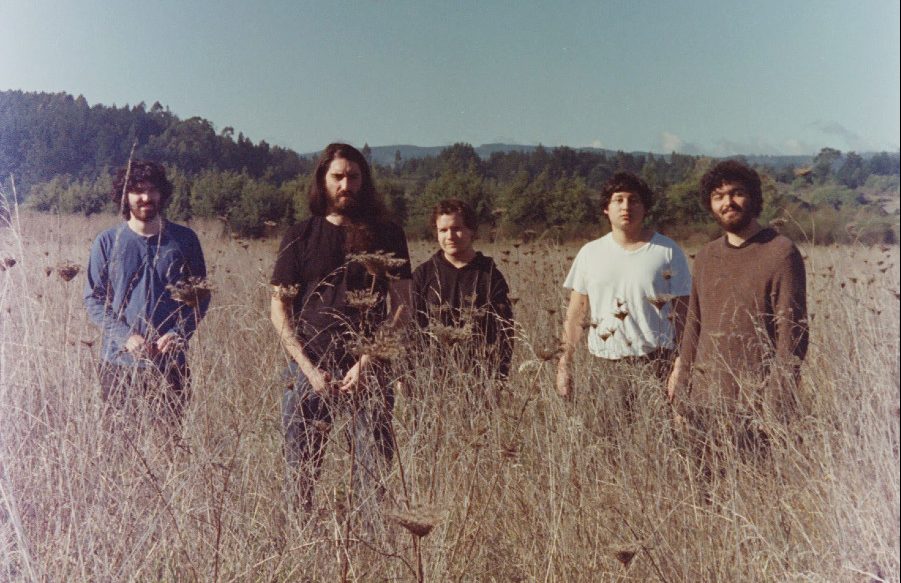 Flora hace gala del indie latinoamericano en su primer largaduración