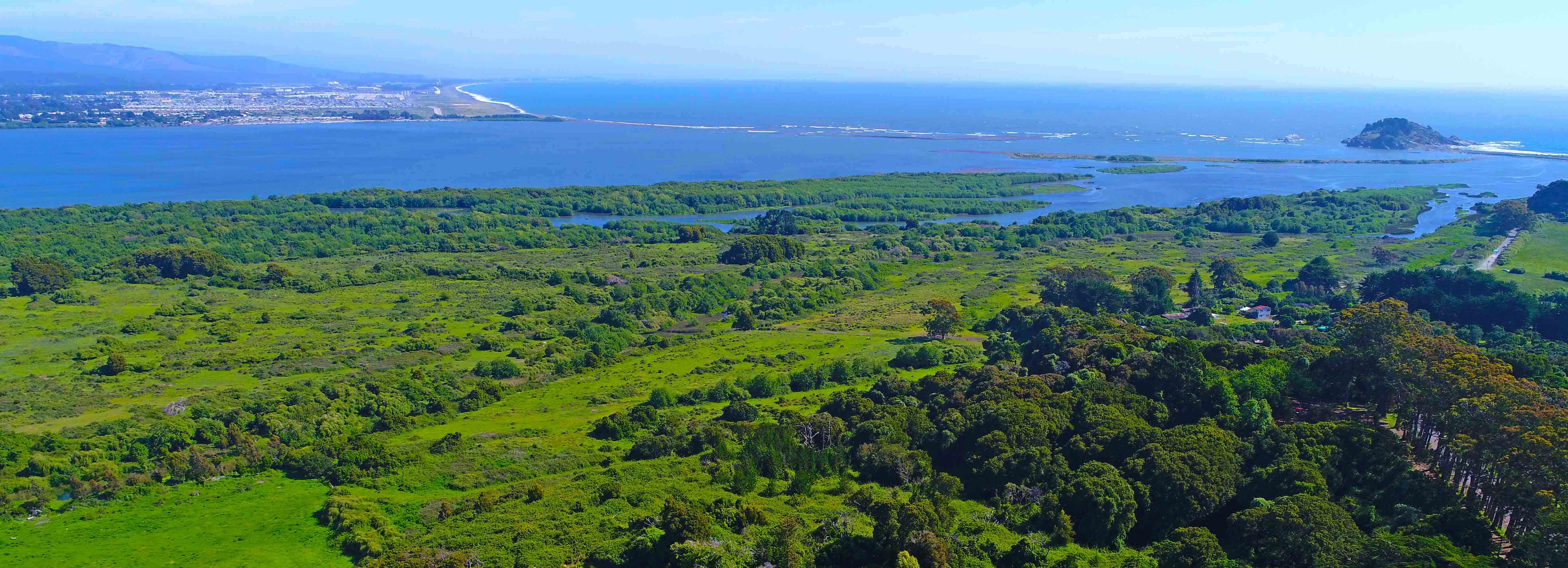 Buscan declarar al río Biobío como Santuario de la Naturaleza