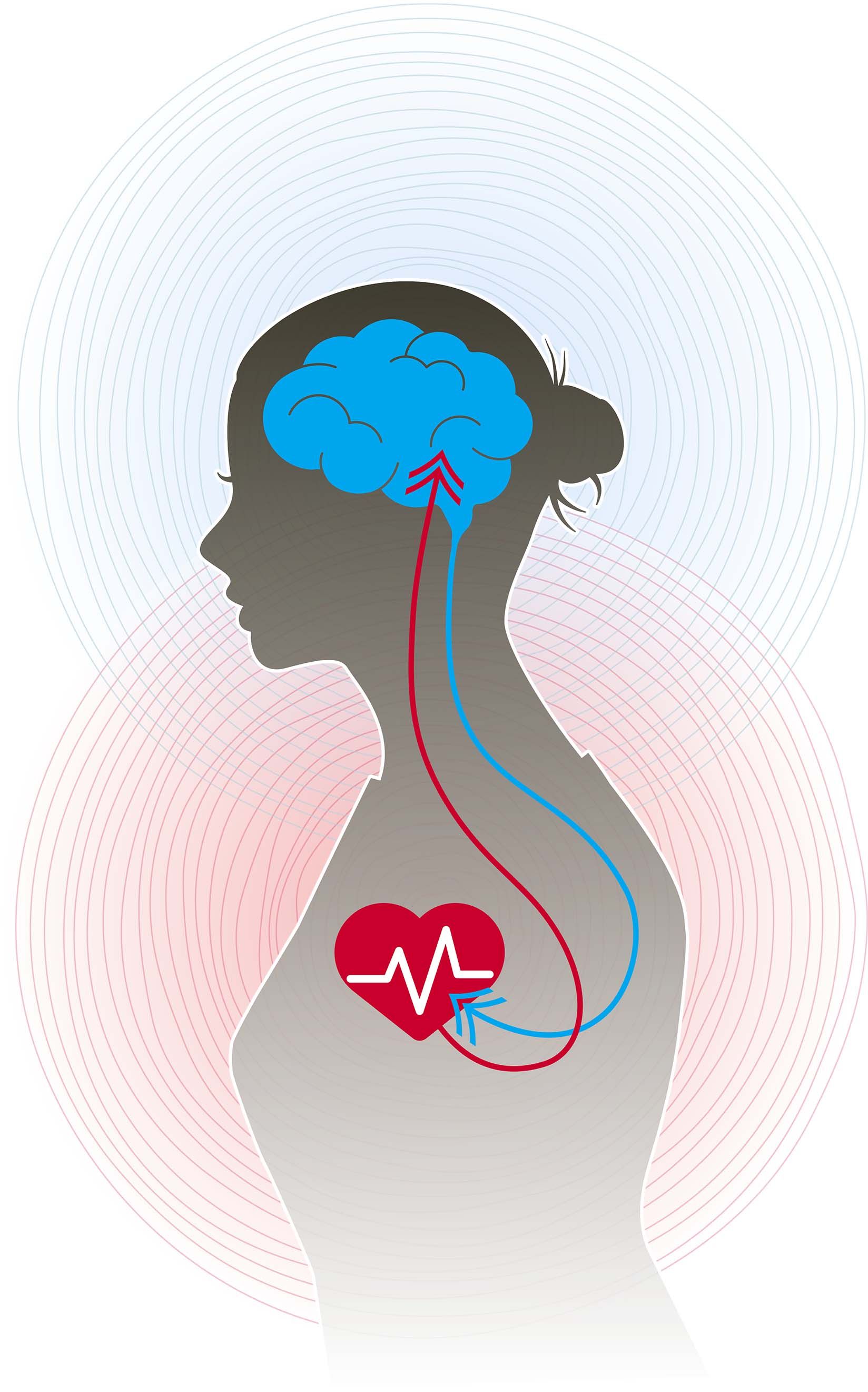 Cerebro y corazón: efecto de la salud mental en la cardiaca