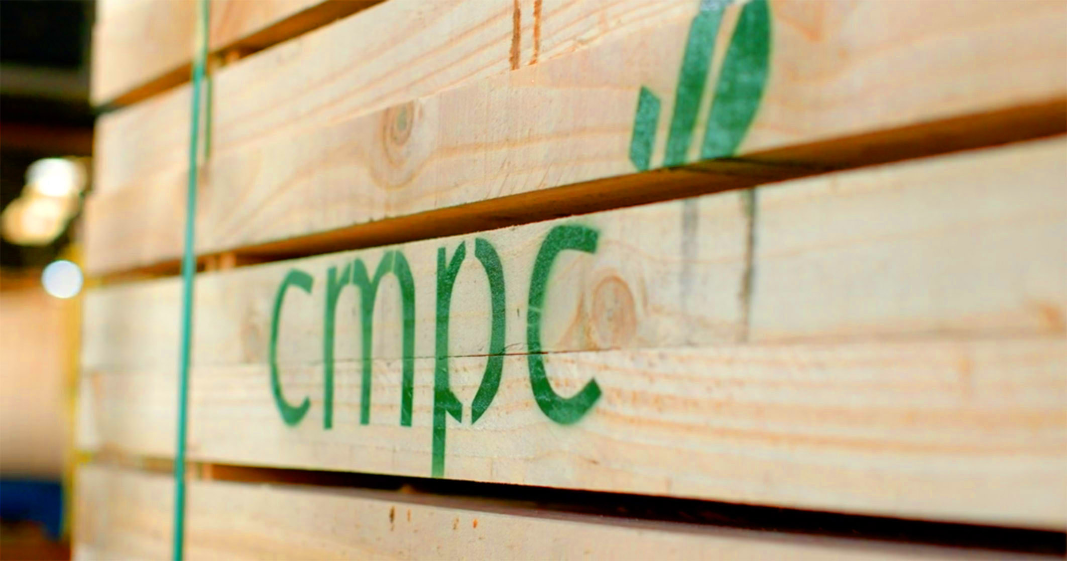 Cmpc refuerza su plan de inversiones y destina US$180 millones a la Región