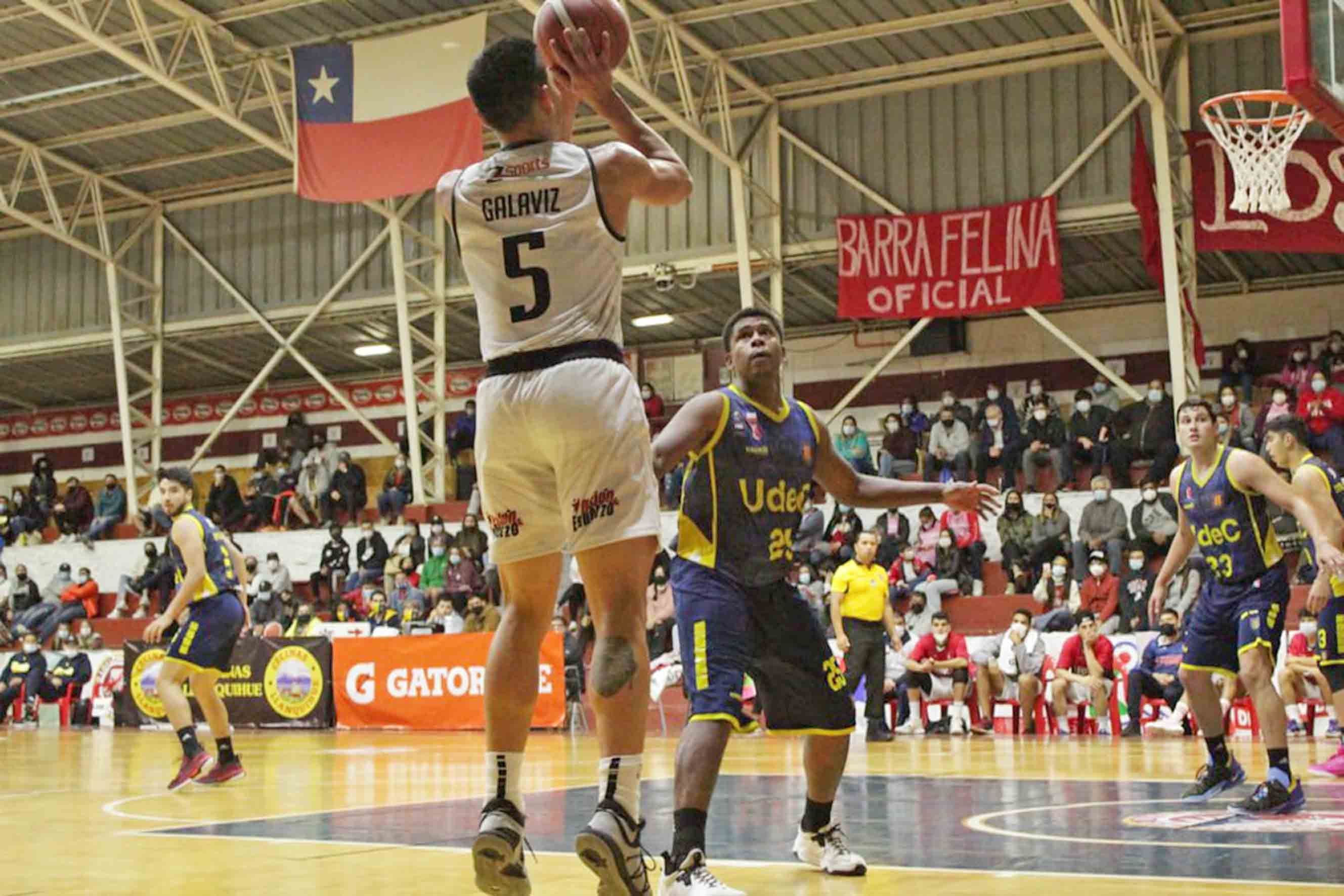 Basket UdeC y un triunfazo para encaramarse en lo alto