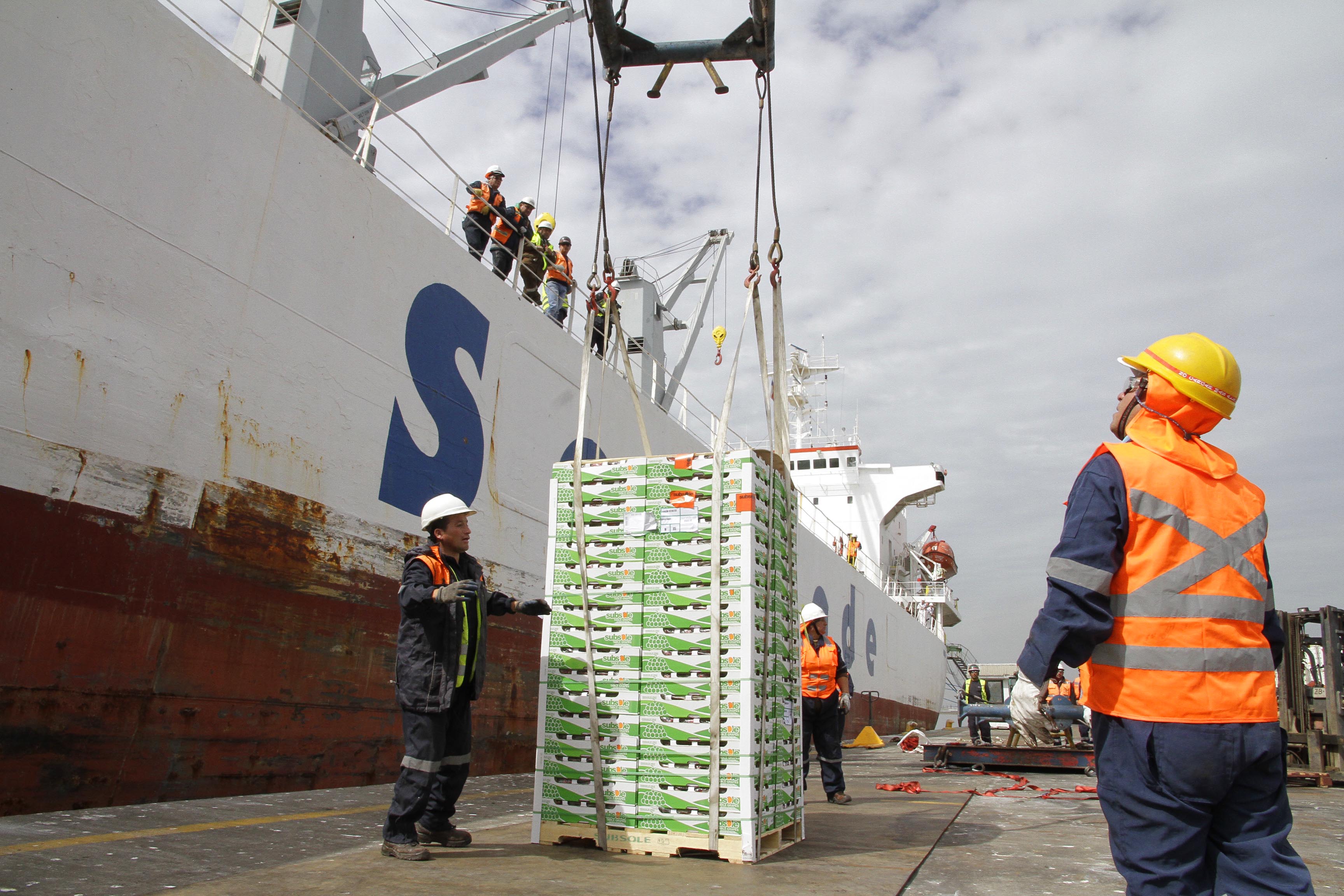 Comienzan semanas claves para la exportación de frutas desde la Región