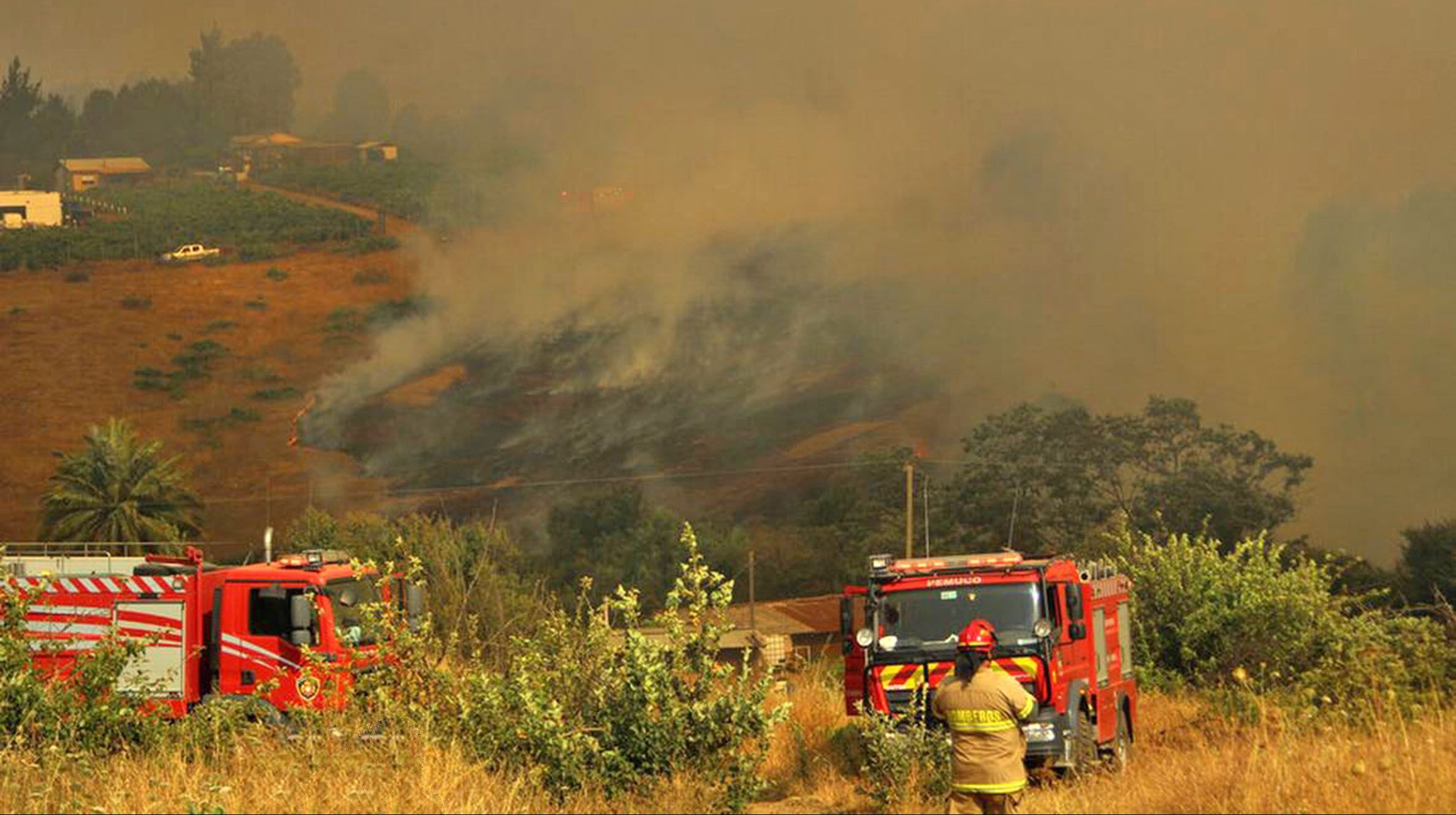 Cambiar Uso De Suelo Ayudaría A Evitar Incendios Forestales
