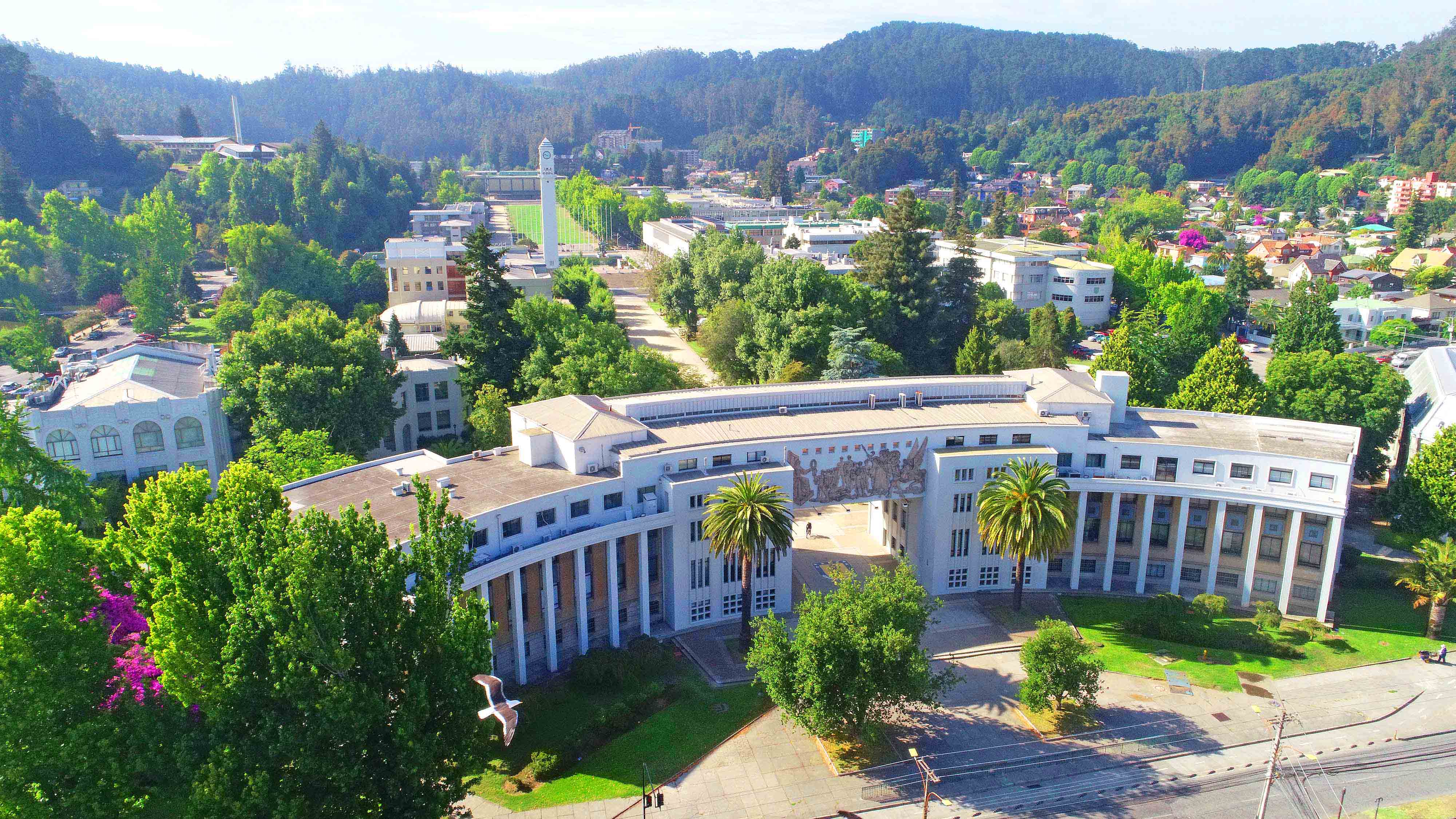 Universidad de Concepción se ubicó entre las mil mejores casas de estudio según prestigioso ranking