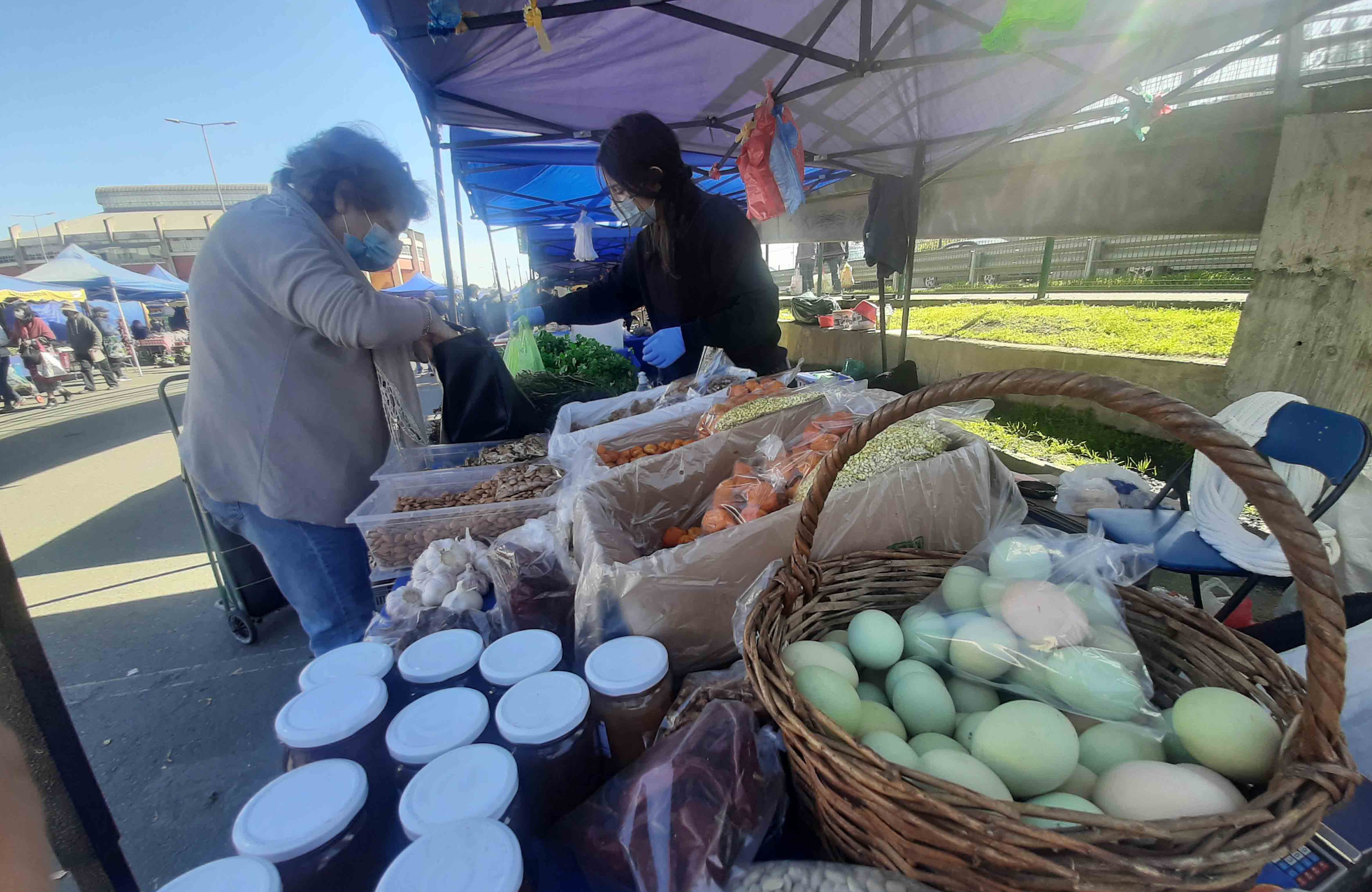 Feria Campesina de Collao: tradición que brota de la tierra y llega a ...