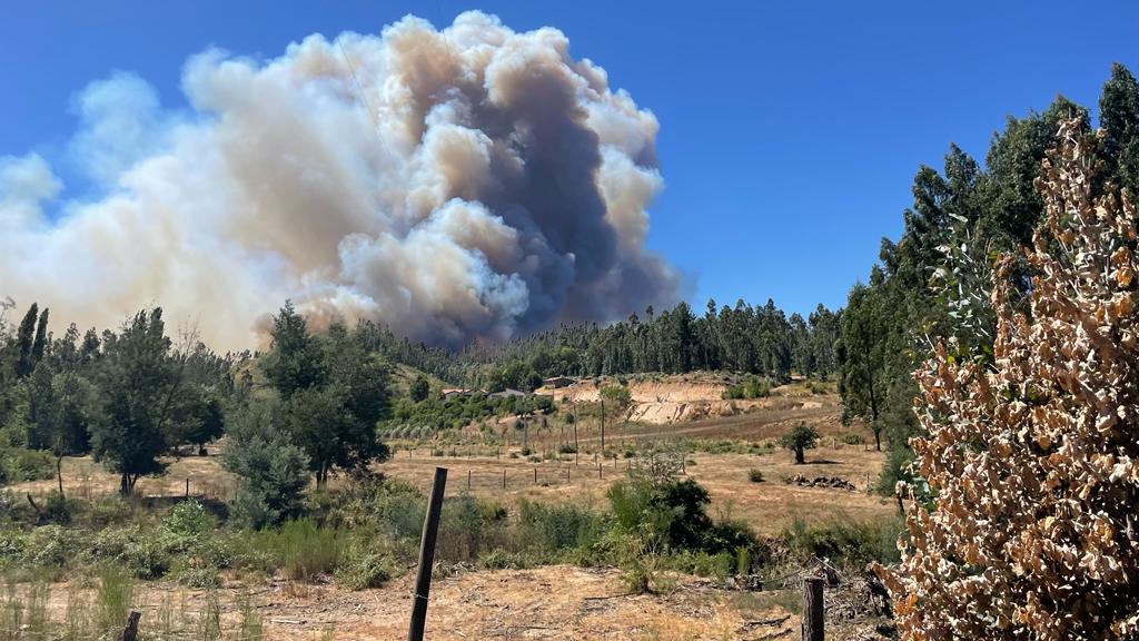 Declaran Alerta Roja en Quillón por incendio forestal: fuego se acerca ...