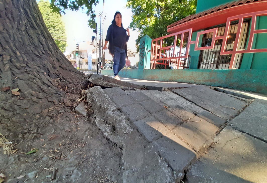 A fin de año habría una solución a los obstáculos en aceras levantadas