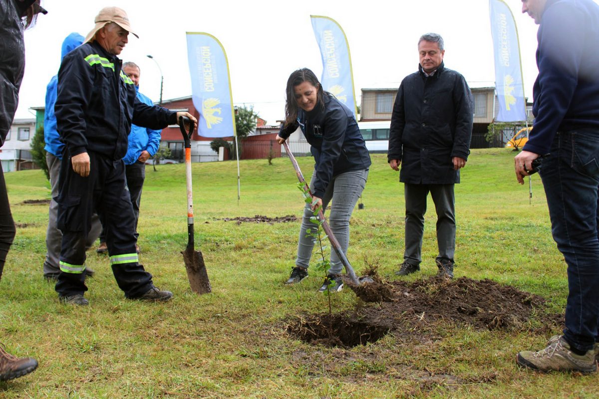 Entregan 50 especies de plantas para parque Alonso de Rivera