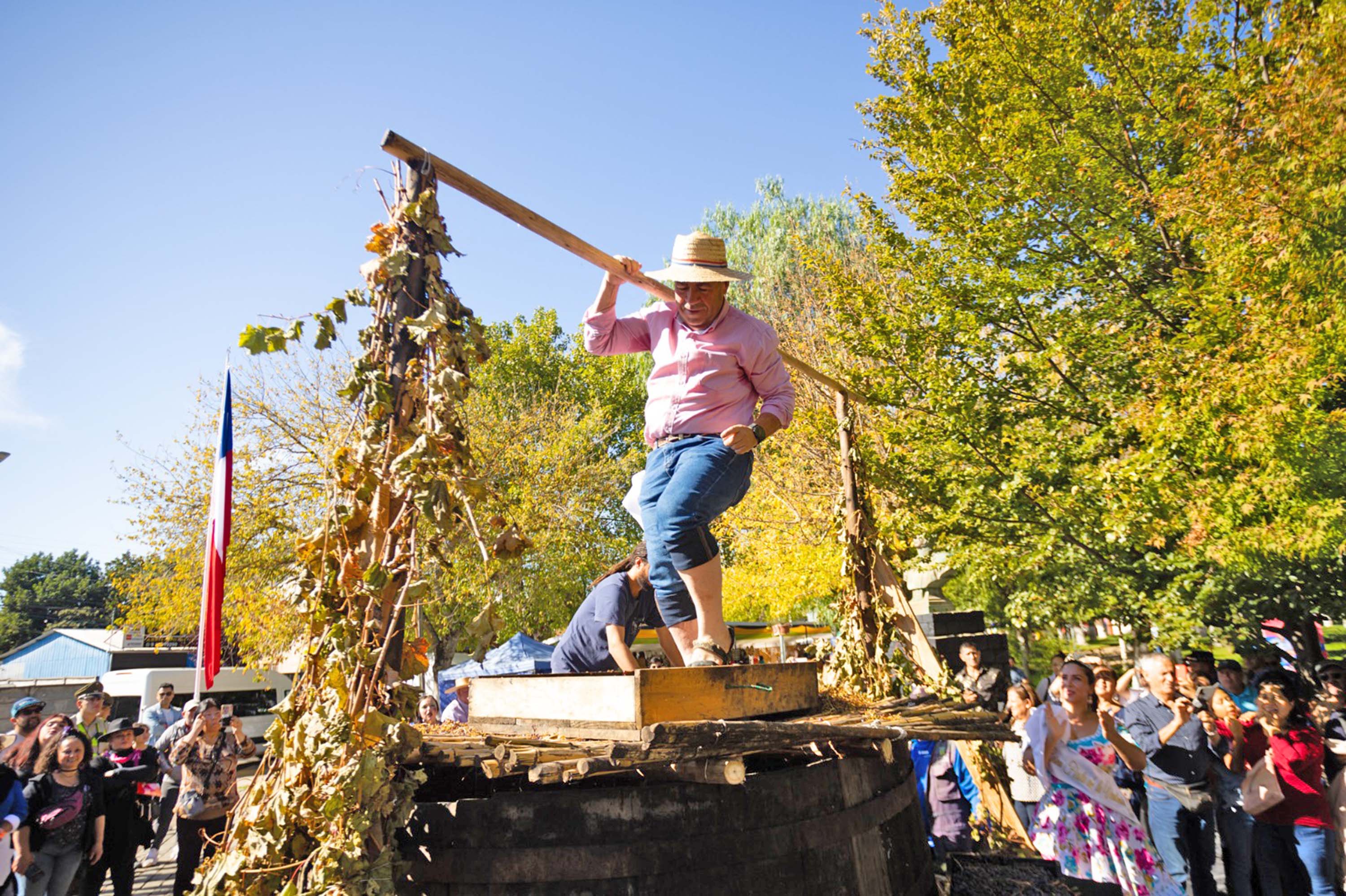 Cerca de 25 mil personas llegaron a la Fiesta de la Vendimia realizada ...