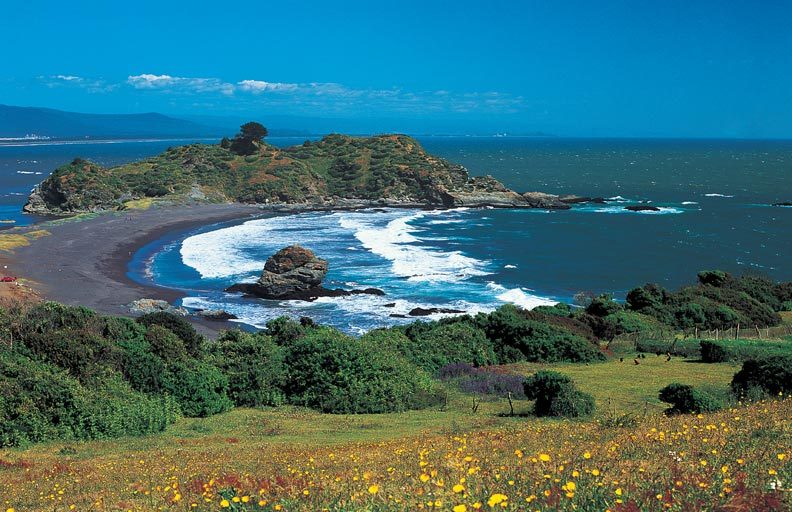 #FueTendencia: Desembocadura del río Biobío