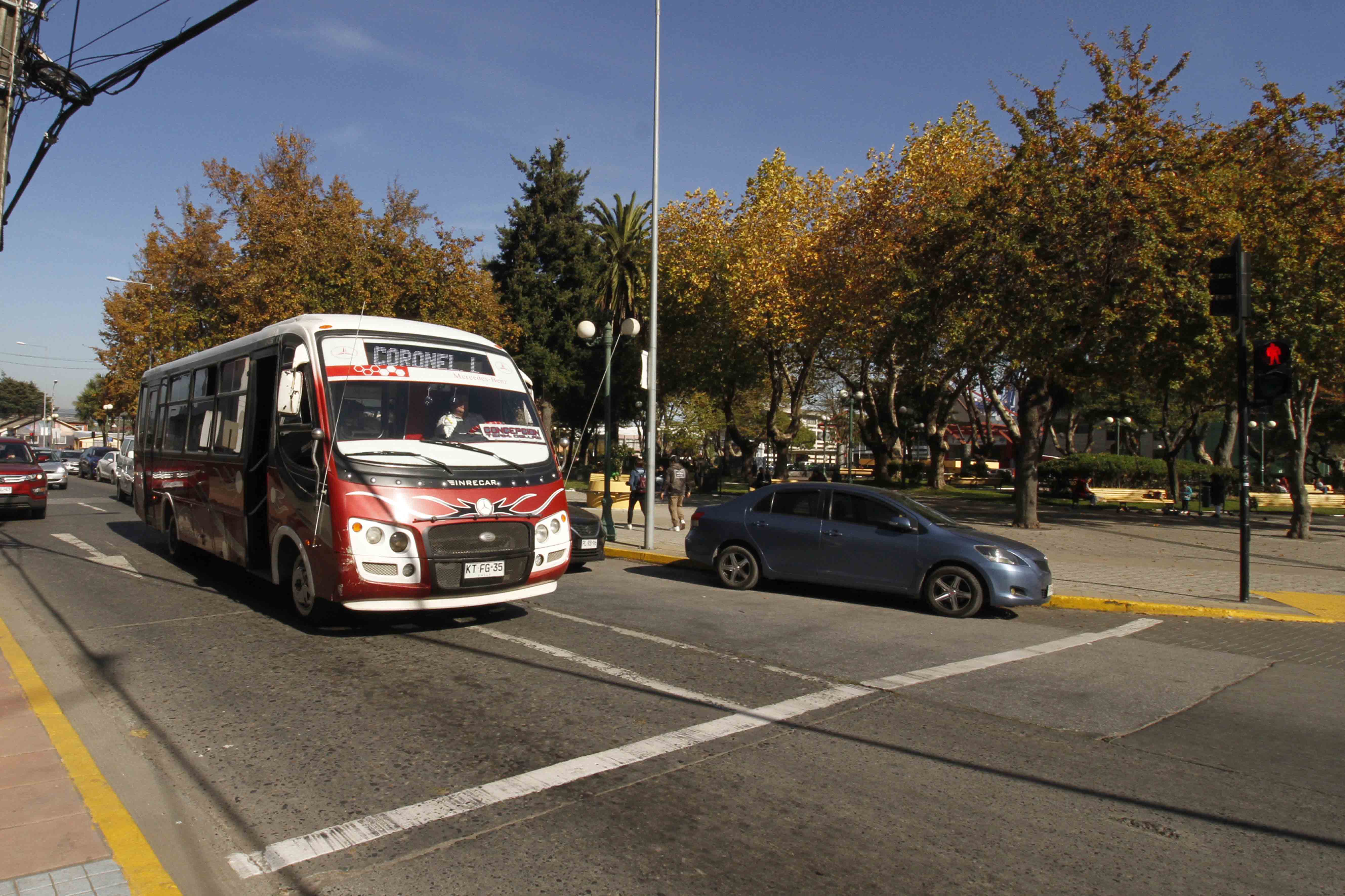 Coronel: comercio apuesta al crecimiento tras medidas anunciadas por el ...