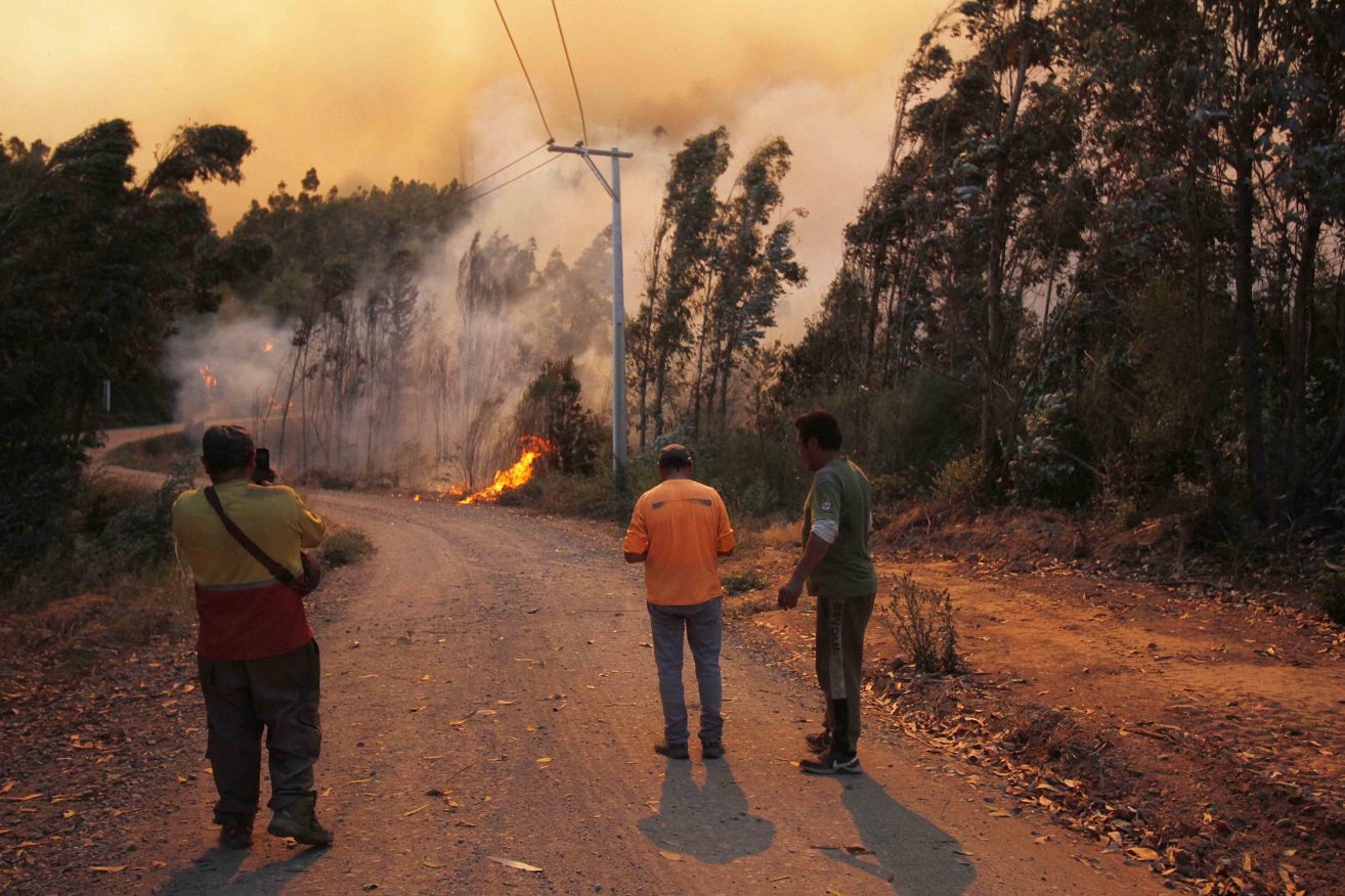 La lucha de los municipios para prevenir futuros incendios forestales