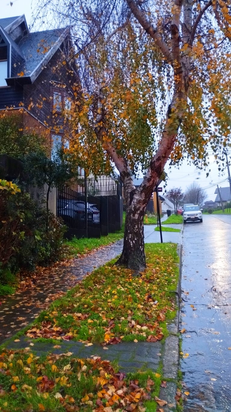 Lomas de San Andrés barrio tradicional que destaca por belleza de áreas ...