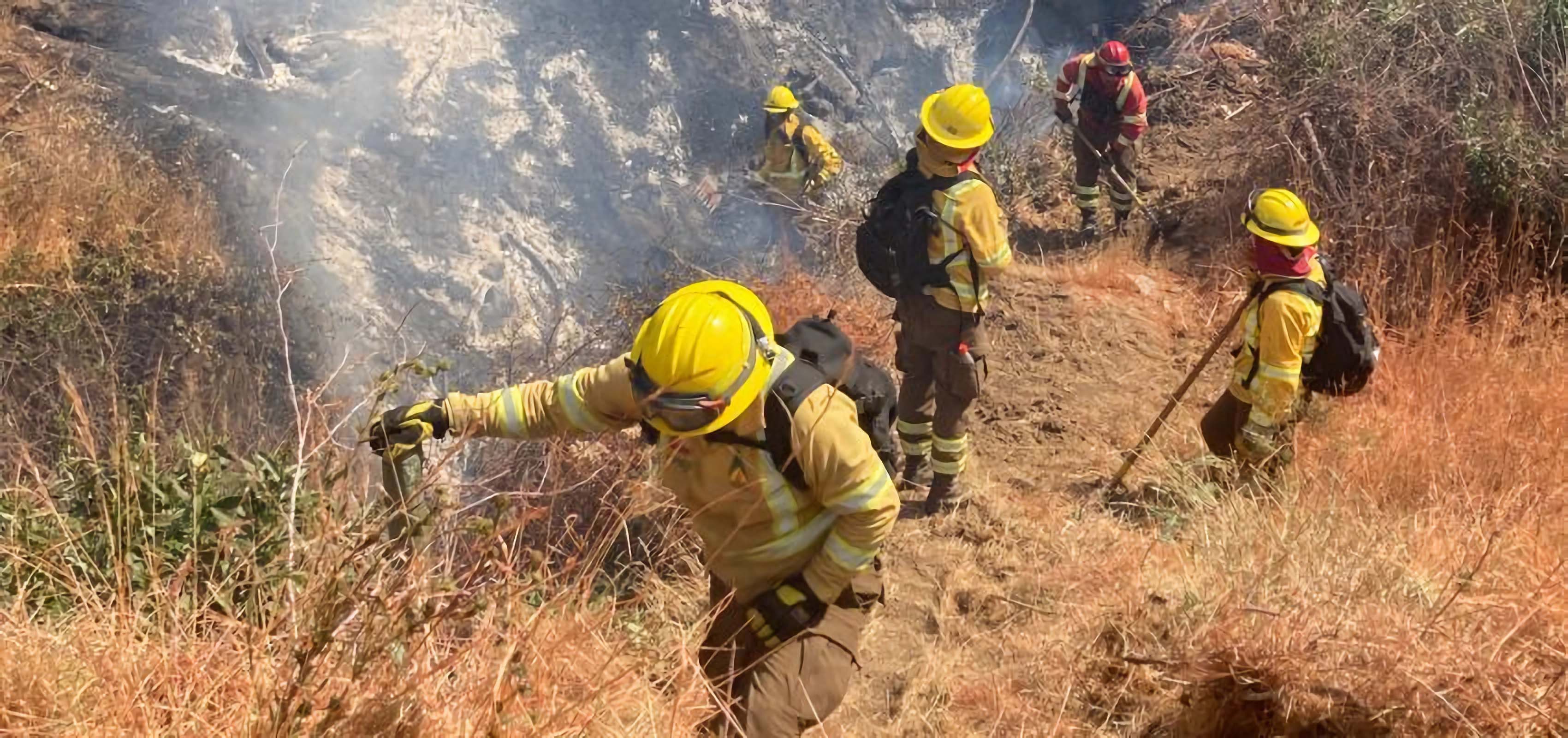Fallece Juan Saez, el brigadista que combatía incendio forestal en ...