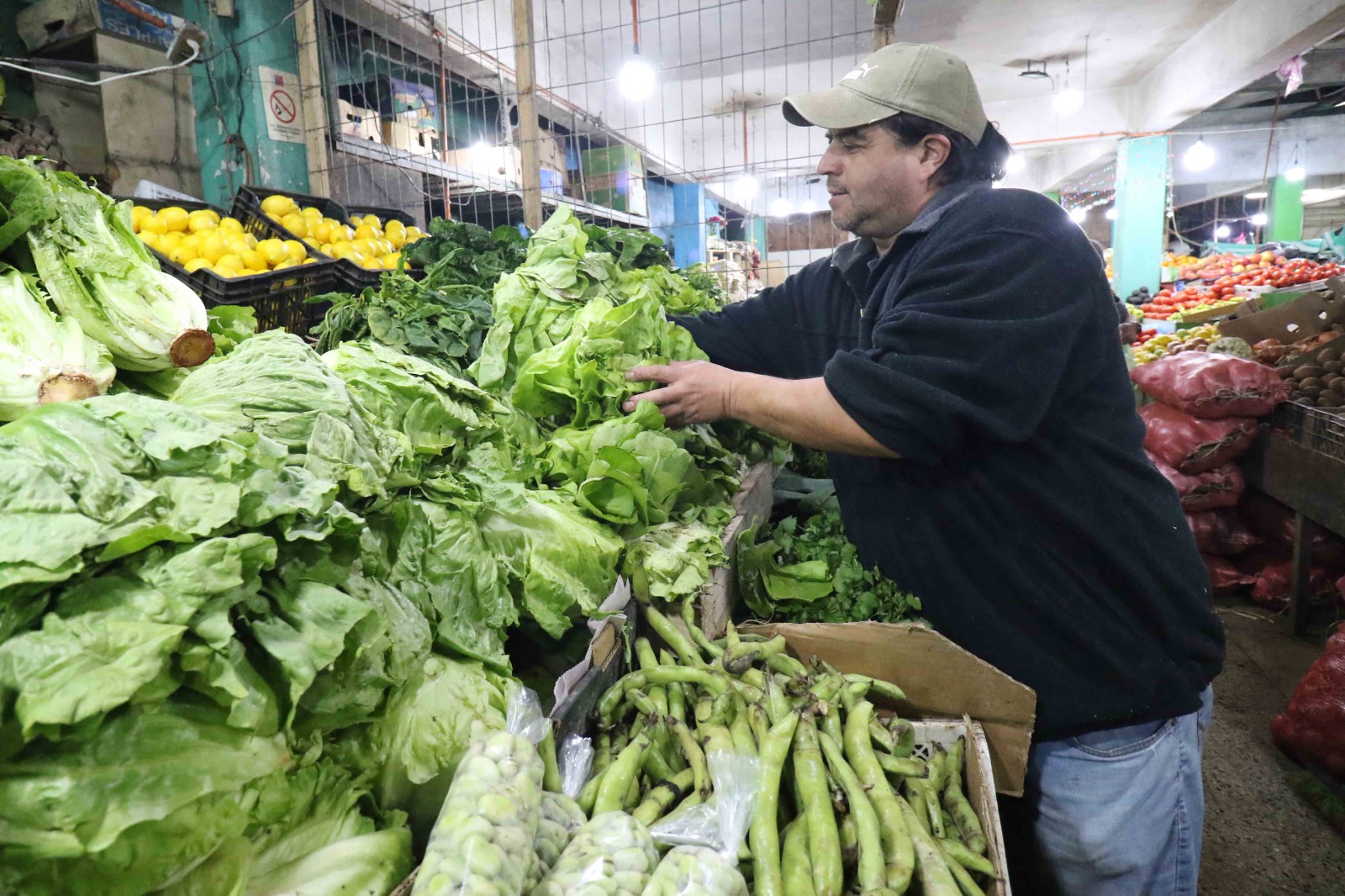 Prevén alza de hasta 10% en precio de hortalizas producto del sistema ...