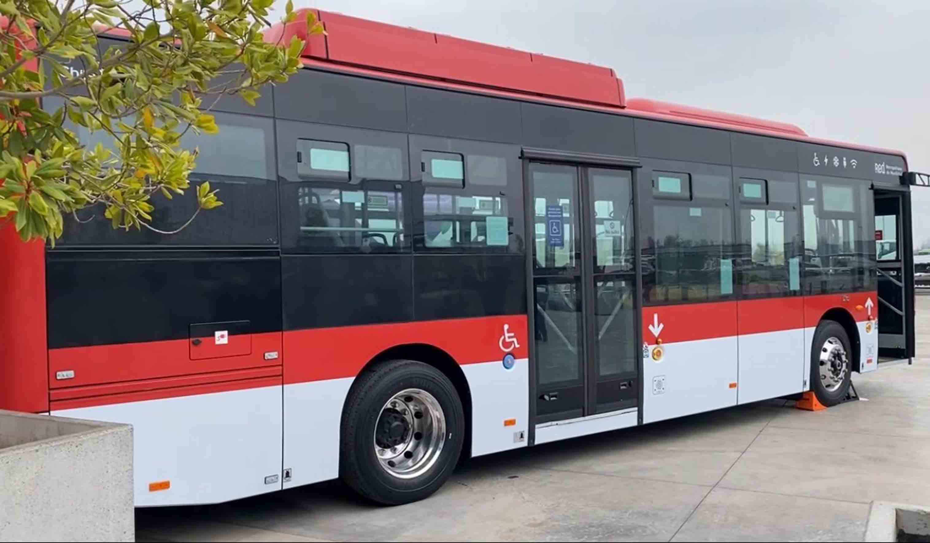 Bus eléctrico: empresarios locales realizarán piloto en septiembre