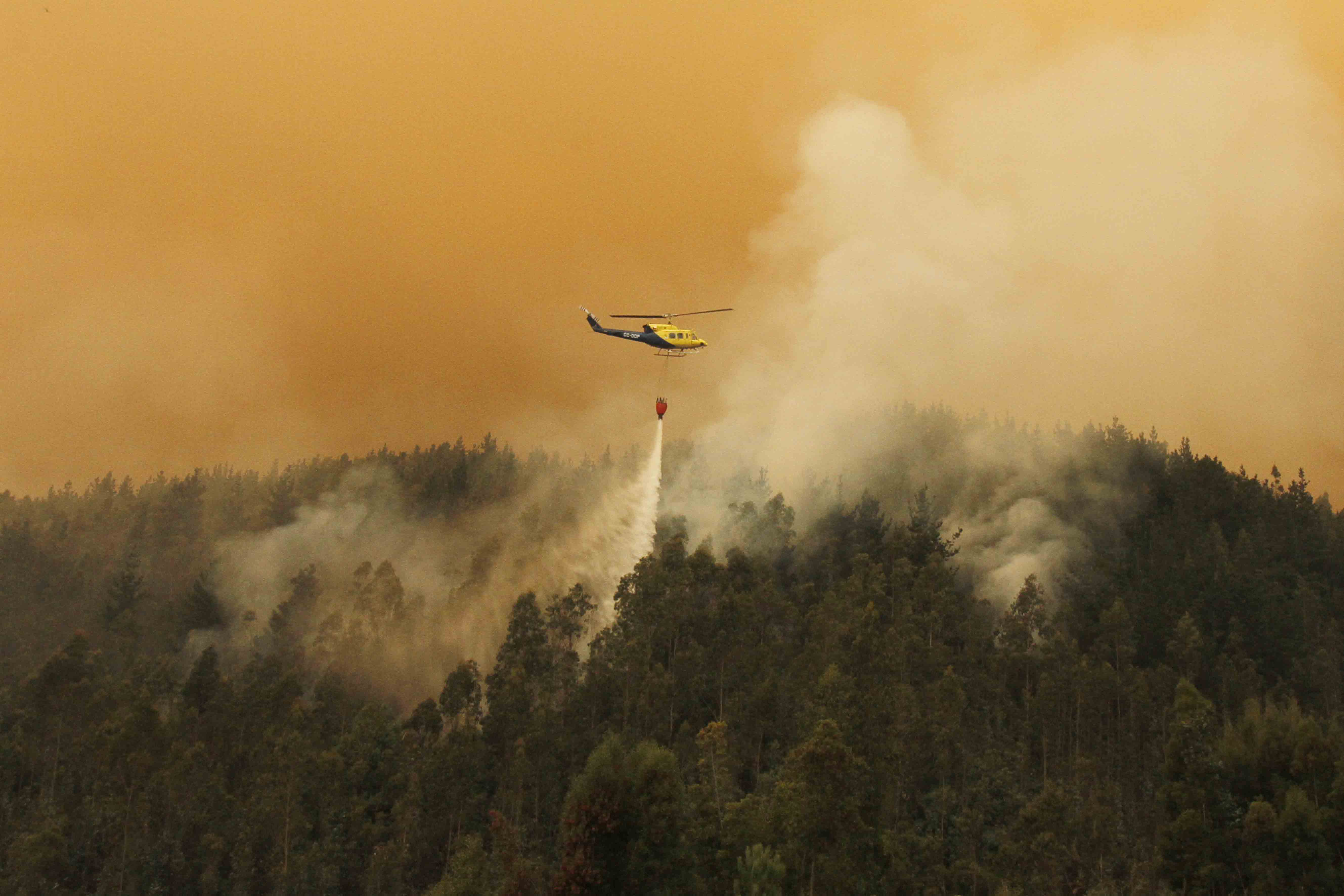 Biobío: proyectos de Conaf contra incendios forestales superan los $4 ...