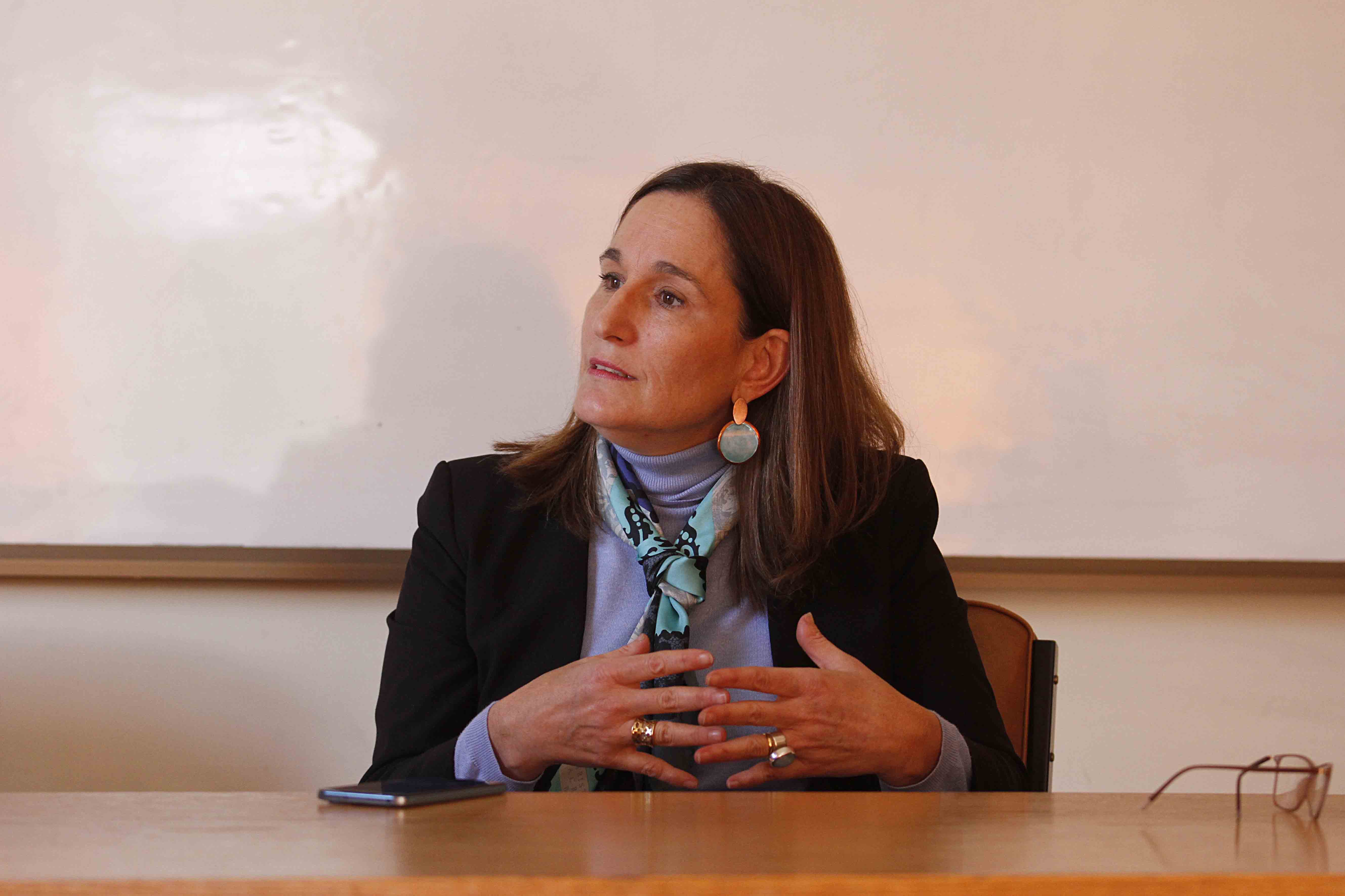 Directora del SEA: “Hay complejidad en la Evaluación de Impacto Ambiental”