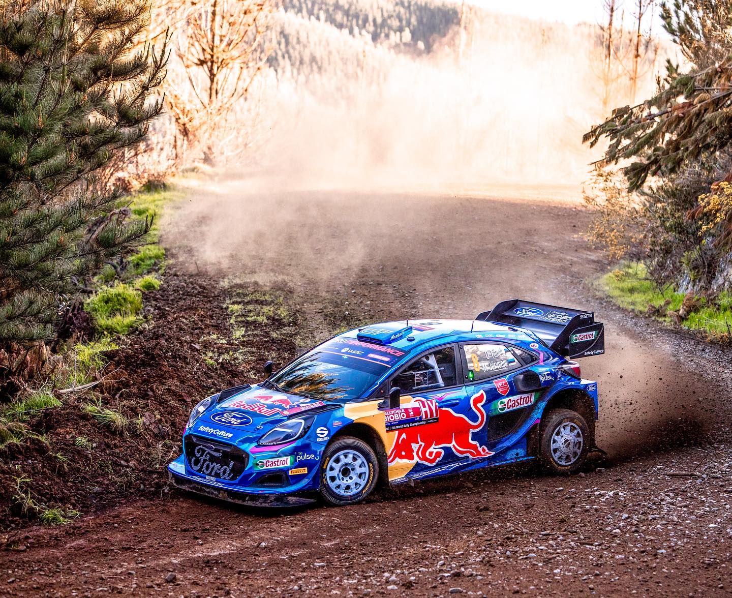 Tänak mata la racha de Rovanpera y el “bi” habrá que pelearlo