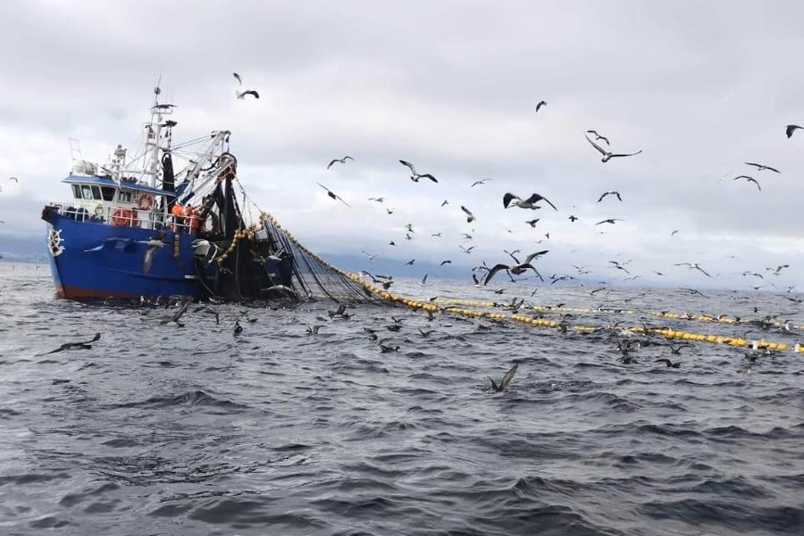 Patrón de embarcación es multado por realizar faenas de extracción en zona exclusiva de pesca ...