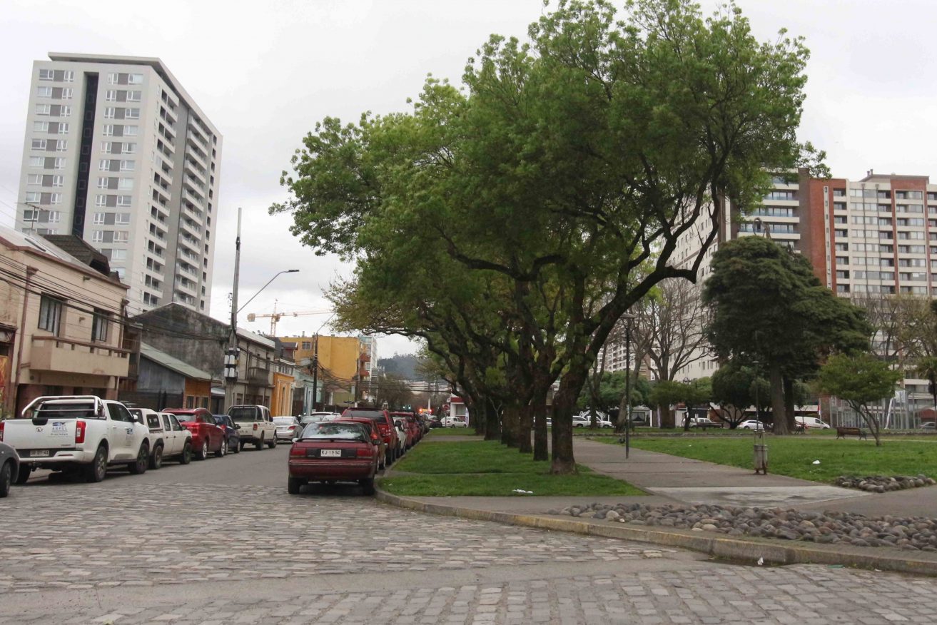 Desde 1890: el Barrio de Plaza Condell