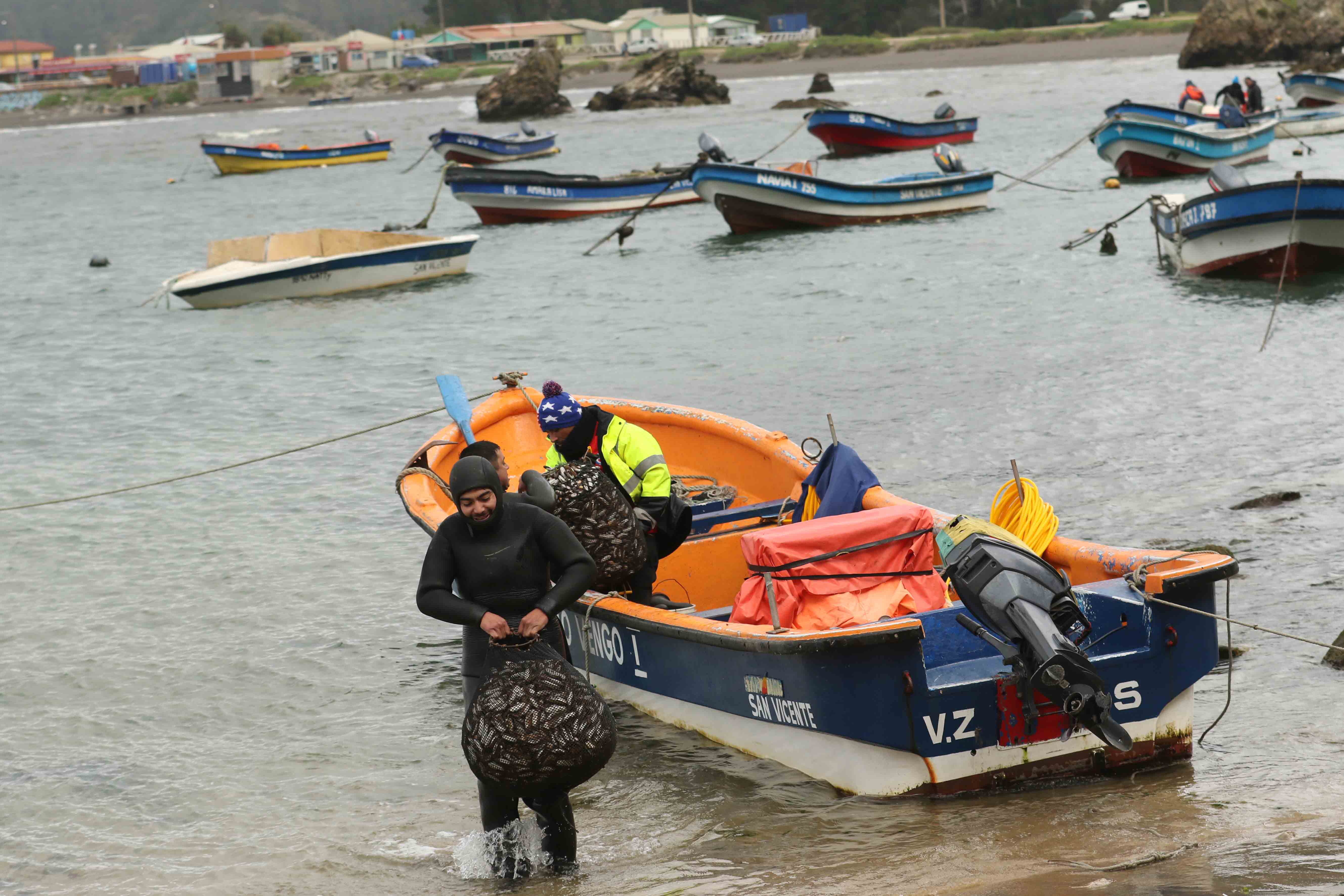 Lenga sin merluza: así se reinventan los restaurantes de la caleta ...