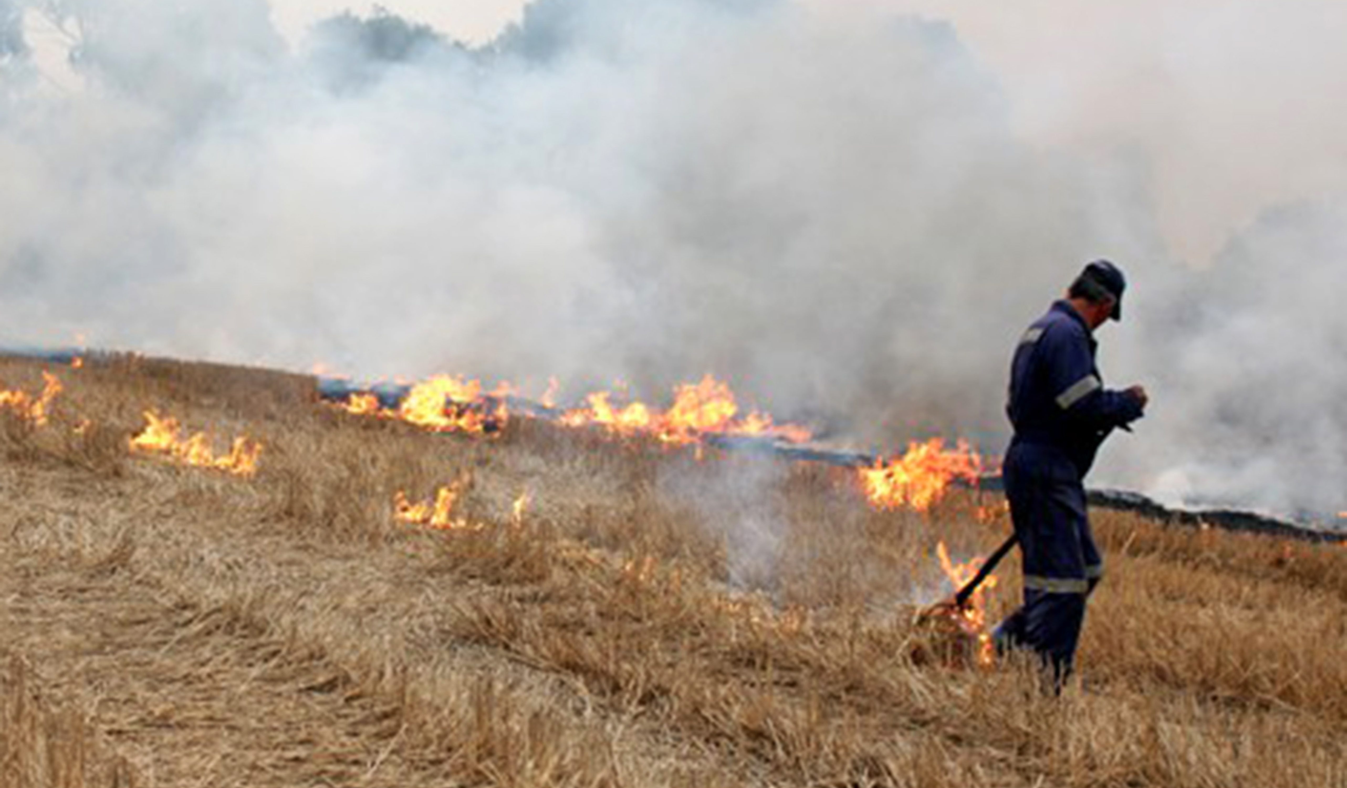 Suspenden todas las quemas agrícolas y forestales controladas tras ...