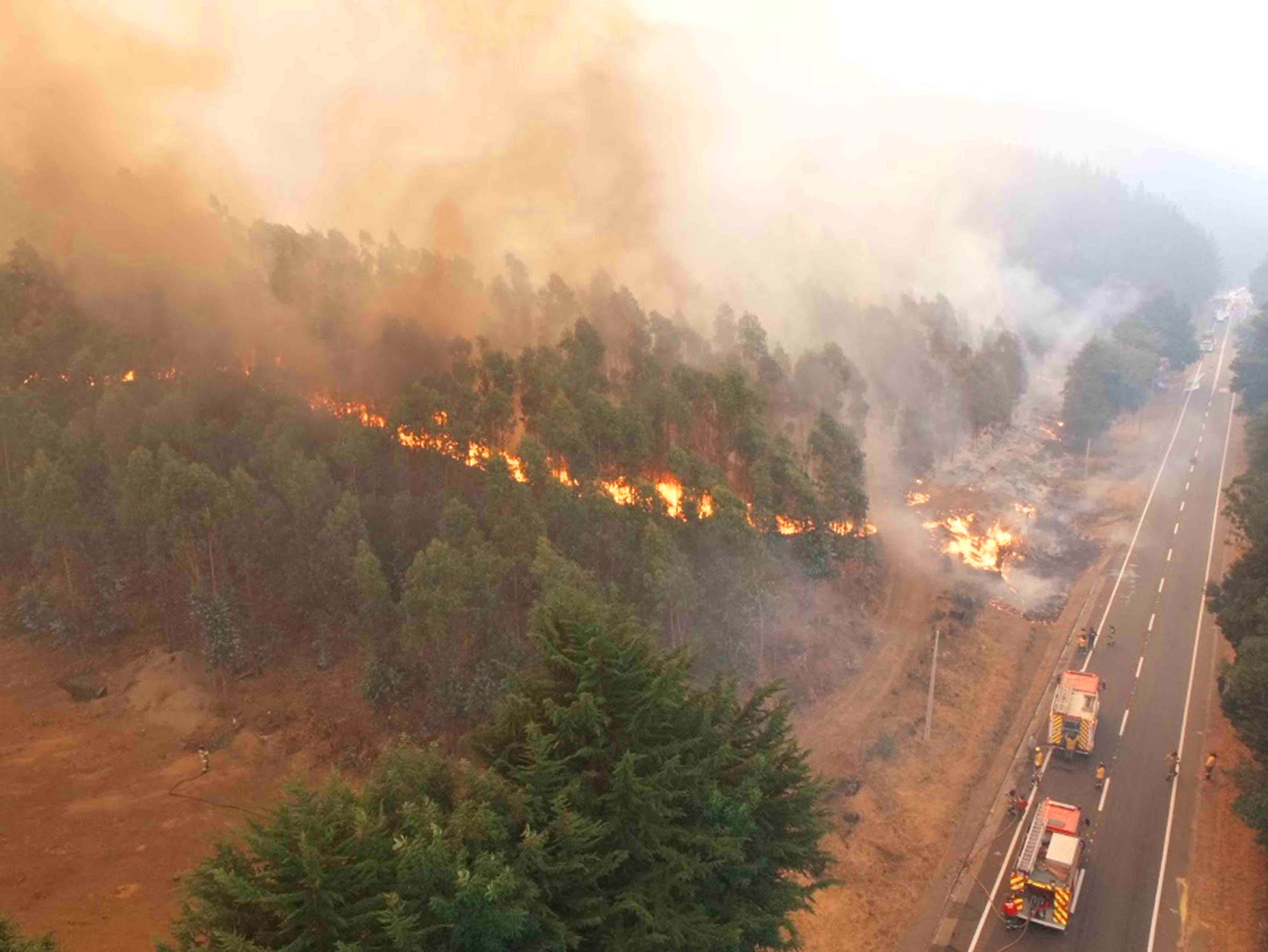 365 días después: los avances y pendientes que dejó la peor catástrofe ...