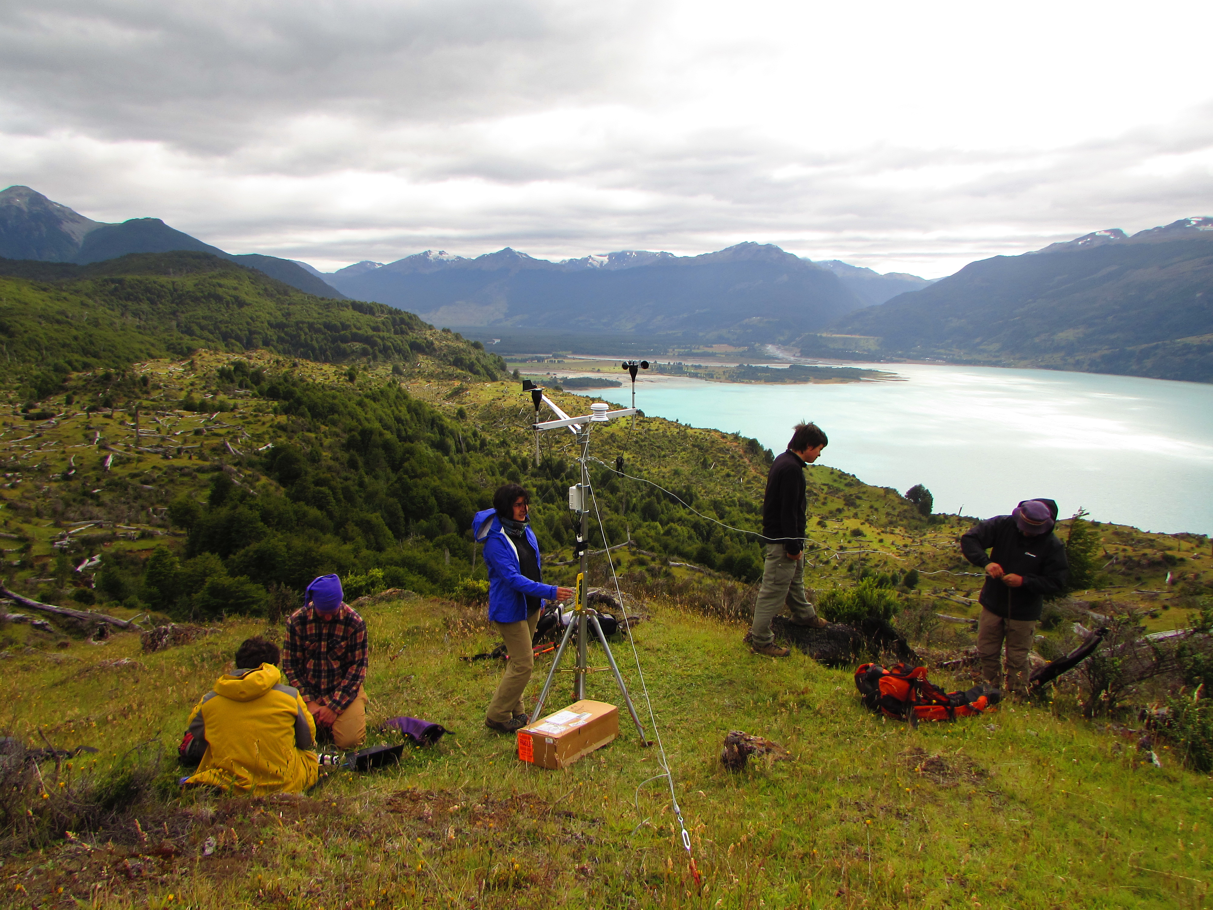 Ciencia local crea pionera base de datos de la Patagonia