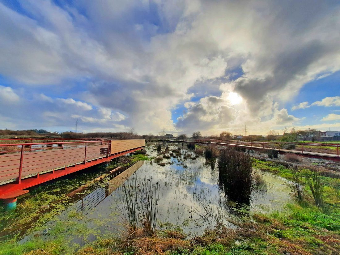 Parque Humedal Los Batros