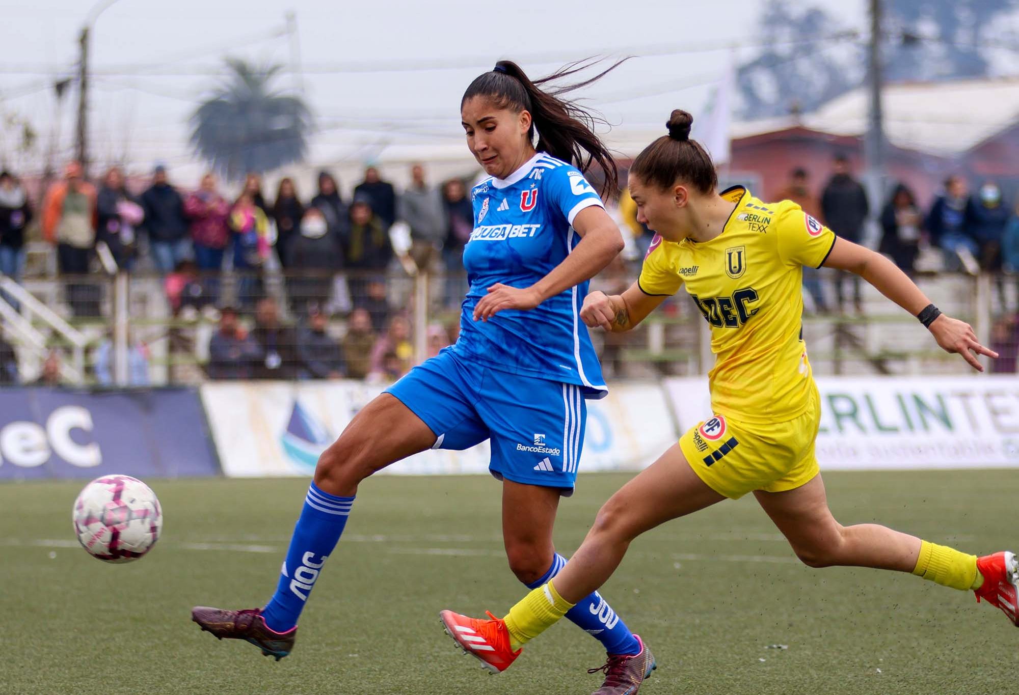 UdeC no pudo ante la Universidad de Chile