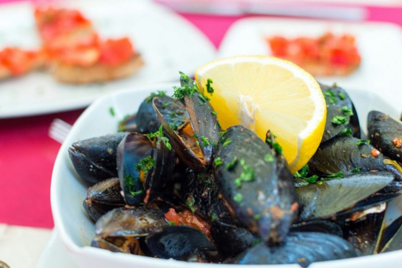 Mes del Mar: UdeC lanzará guía sobre aporte nutricional de alimentos ...