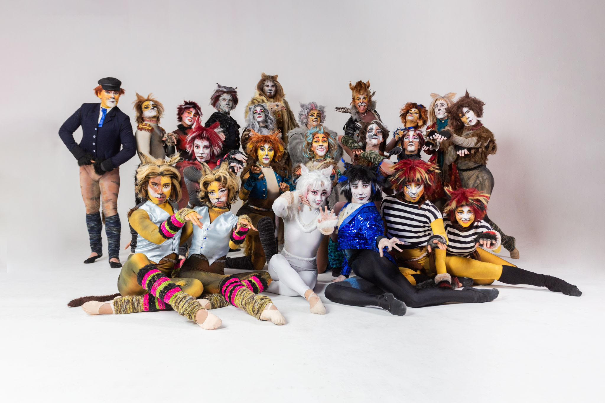 Musical “Cats” llegará por primera vez a Concepción en agosto próximo