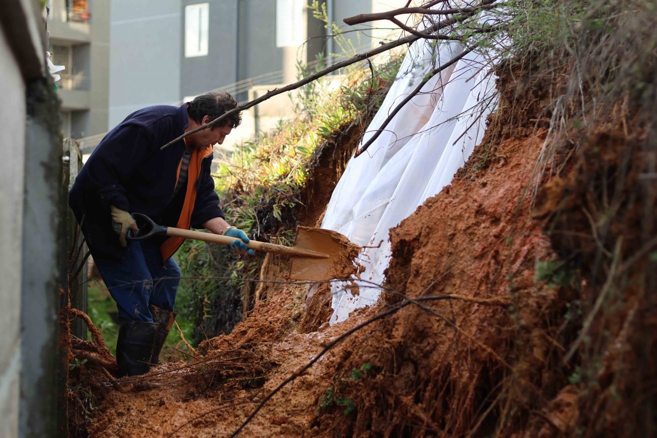 “A veces se generalizan soluciones para abaratar costos”: Dr. (c ...