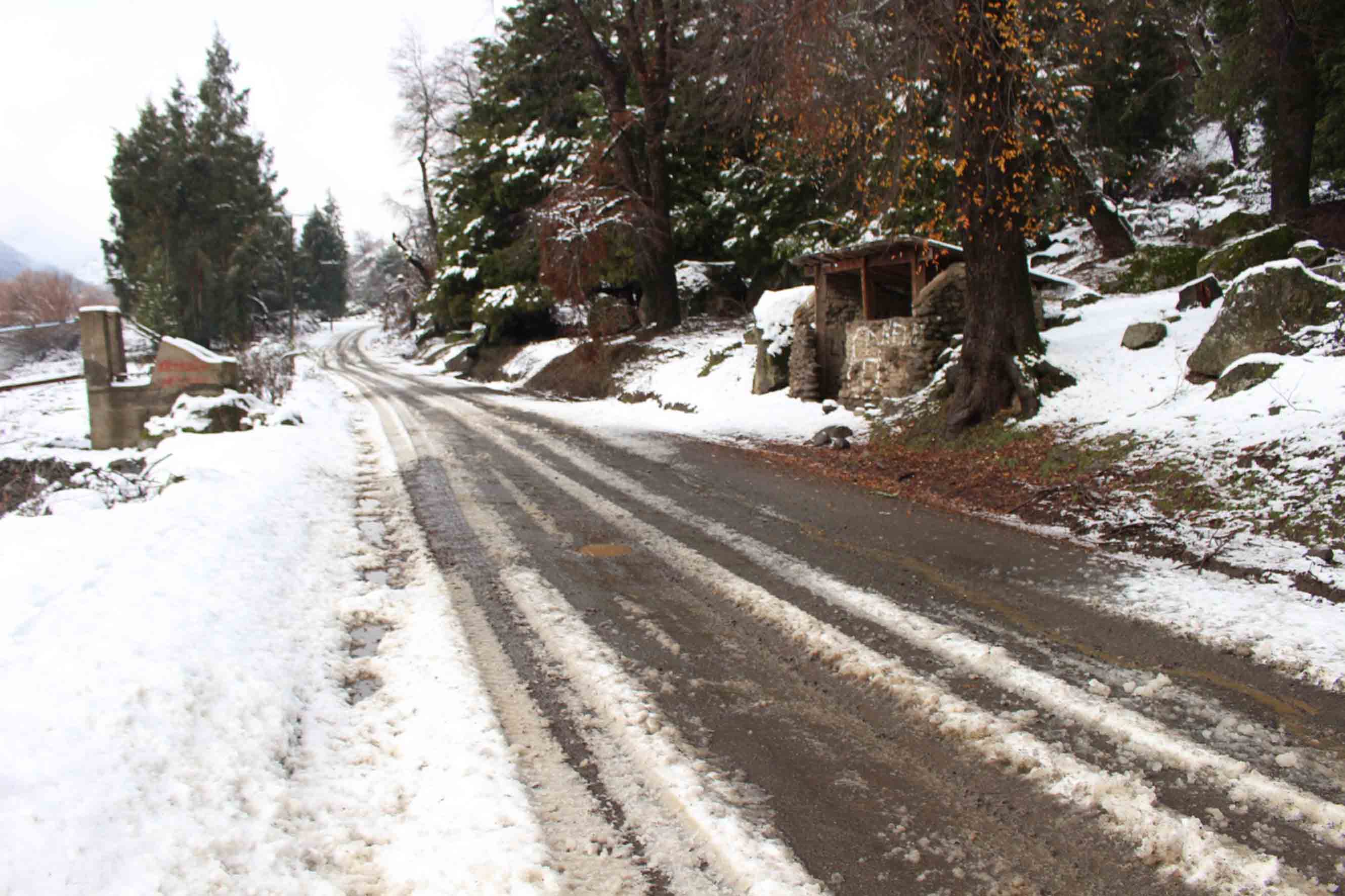Ralco-Lonquimay: la ruta en la cordillera que estuvo en el mensaje ...