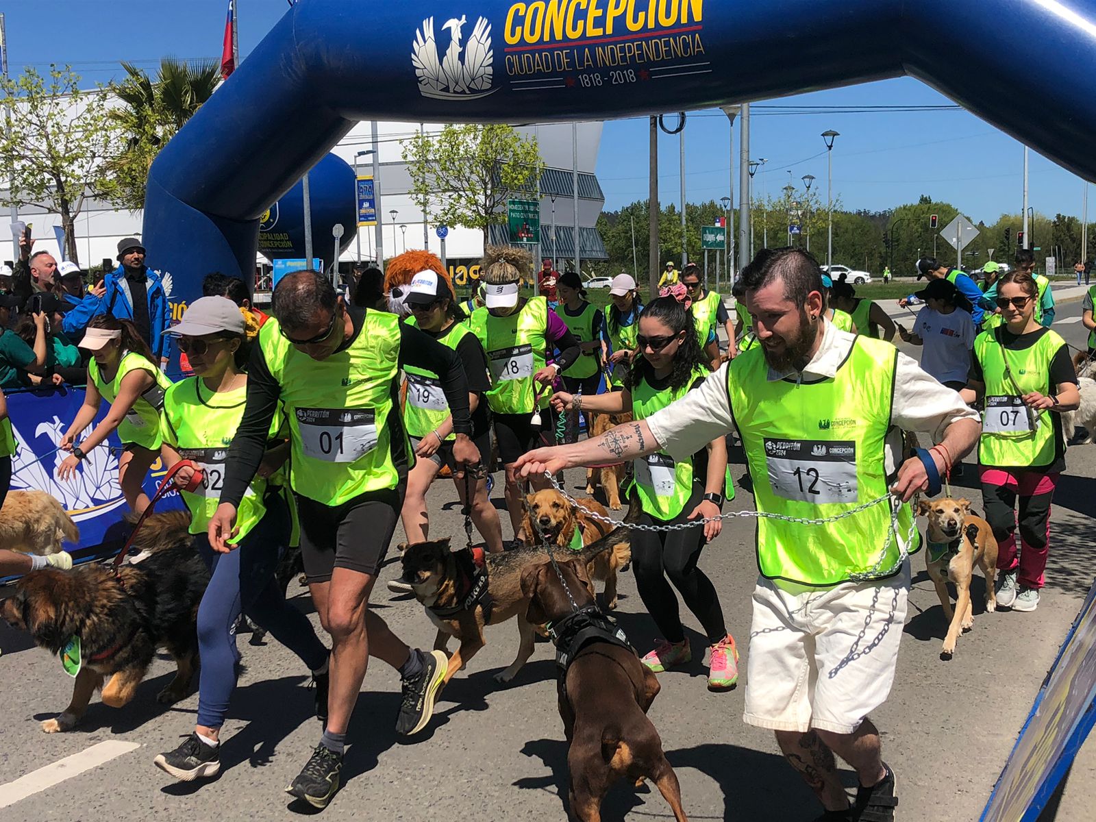 Perritón 2024 convocó a cientos de familias en el Parque Bicentenario ...